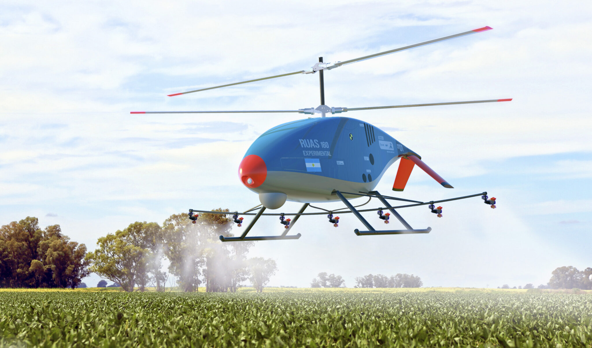 Desarrollo - Cicaré